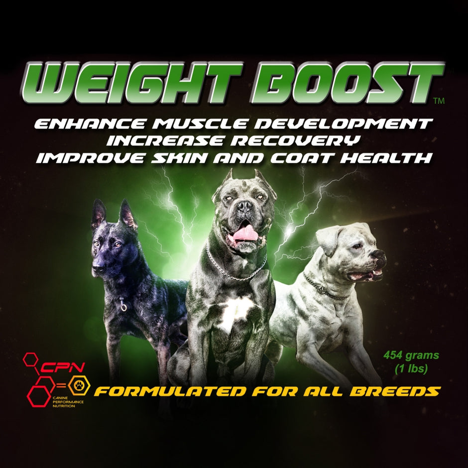 Shop Performance Dog Supplements | Canine Supplements | CPN